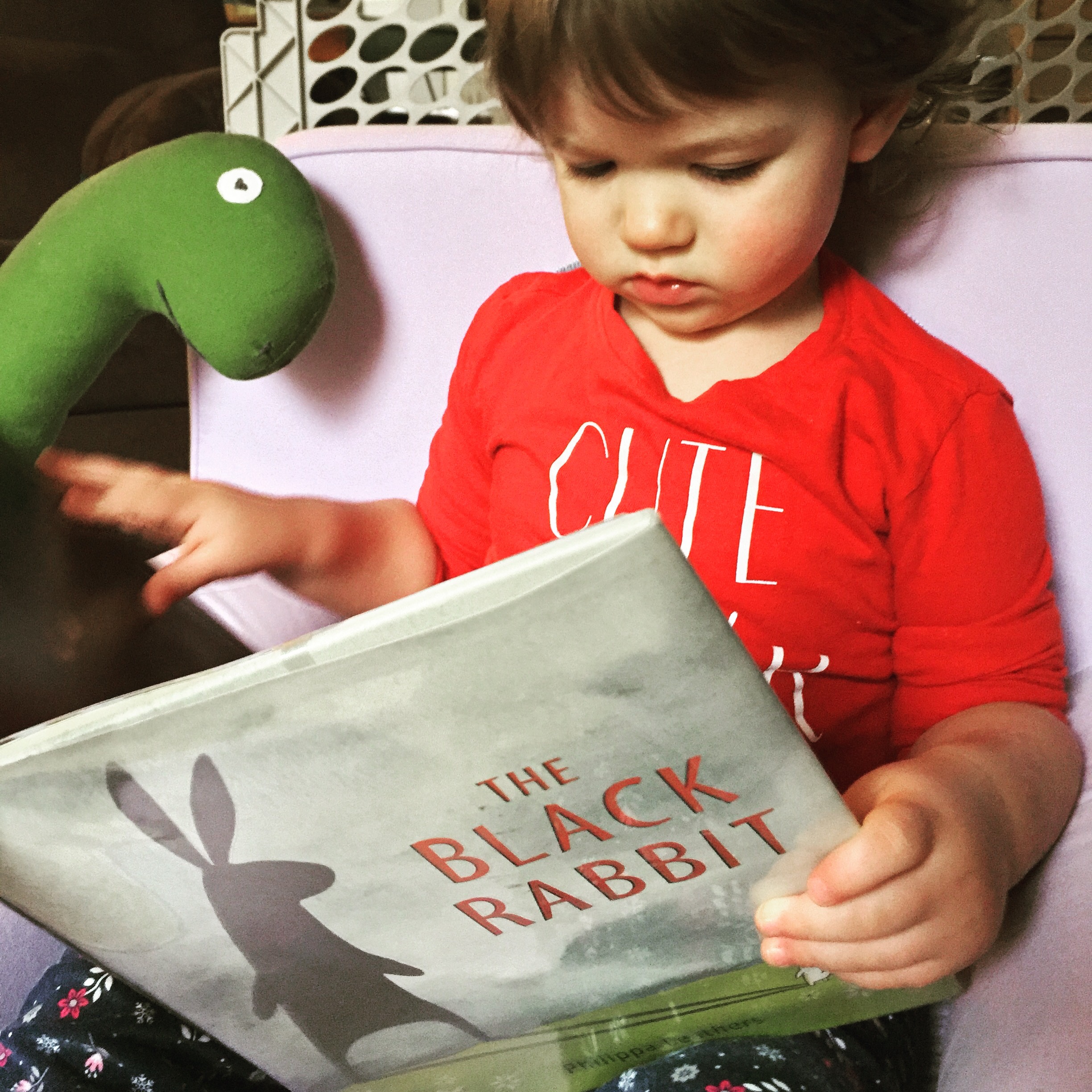 The Black Rabbit (Philippa Leathers) – The Baby Bookworm