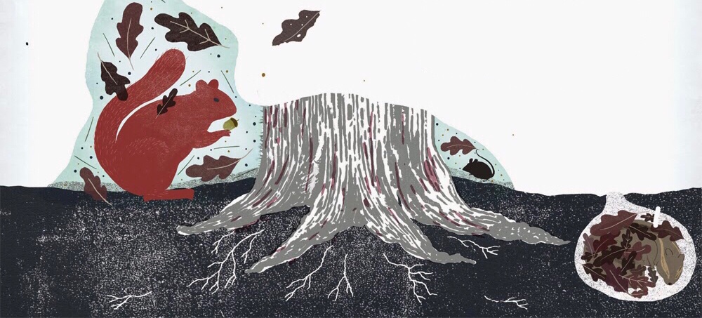 Over And Under The Snow (Kate Messner) – The Baby Bookworm