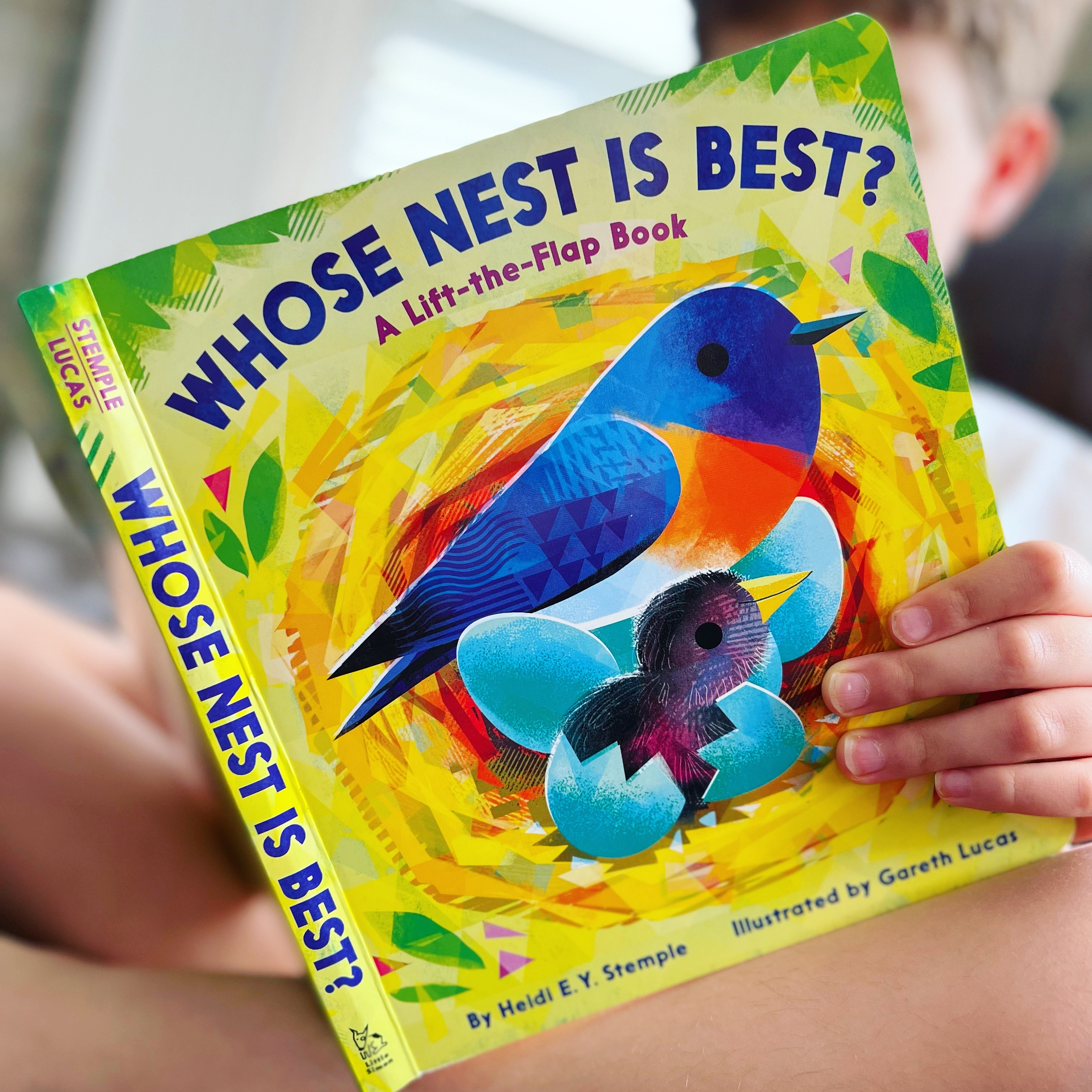 Whose Nest is Best?: A Lift-the-Flap Book (Heidi E. Y. Stemple) – The ...