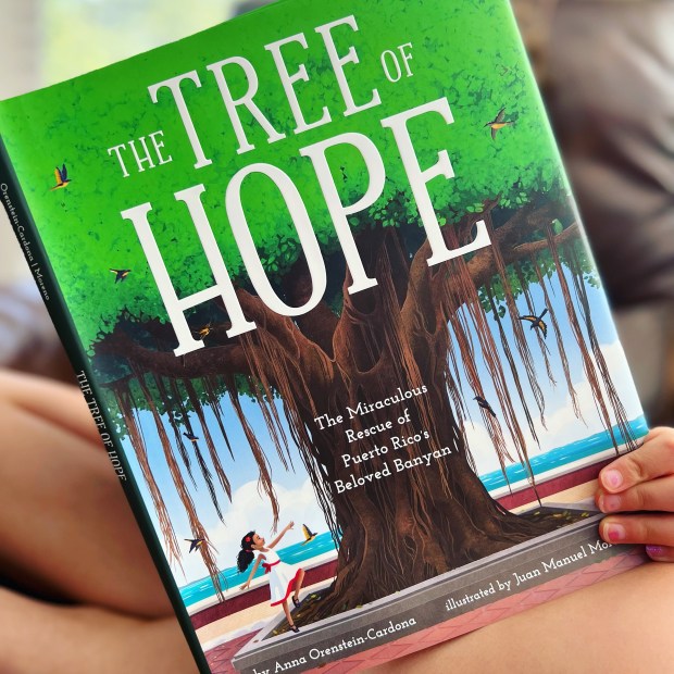 The Tree of Hope: The Miraculous Rescue of Puerto Rico’s Beloved Banyan ...