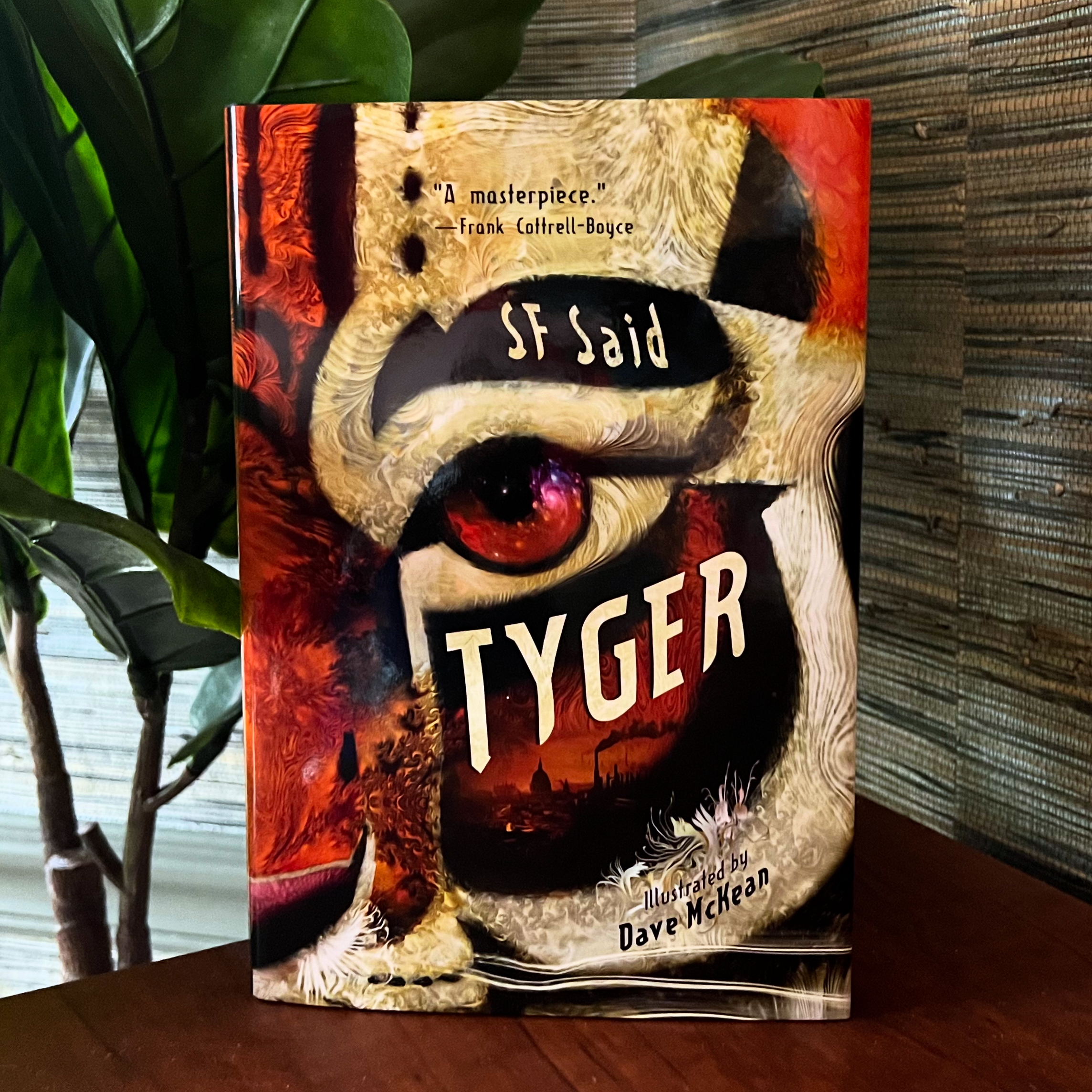 TYGER (SF Said, illus. by Dave McKean) – The Baby Bookworm