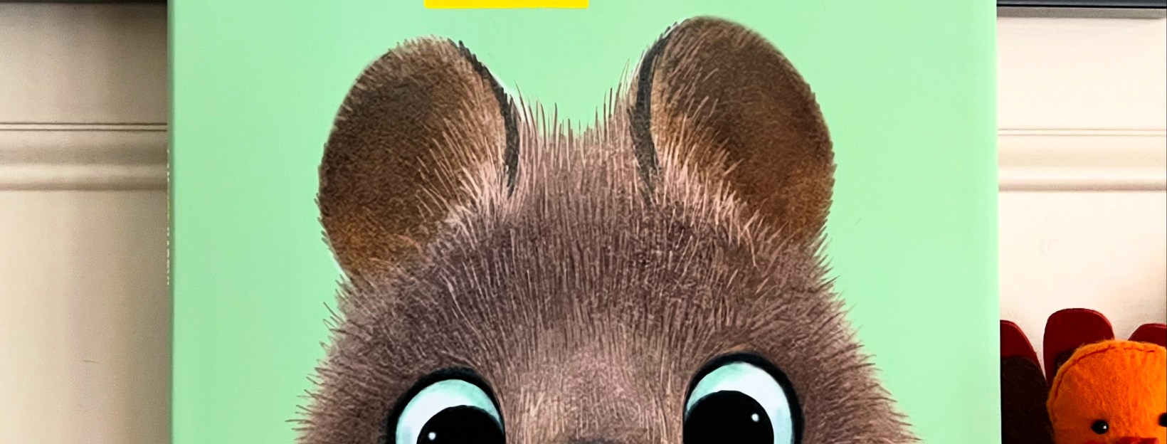 I Am NOT Happy! (Caroline L. Perry, illus. by Sydney Hanson) – The Baby ...