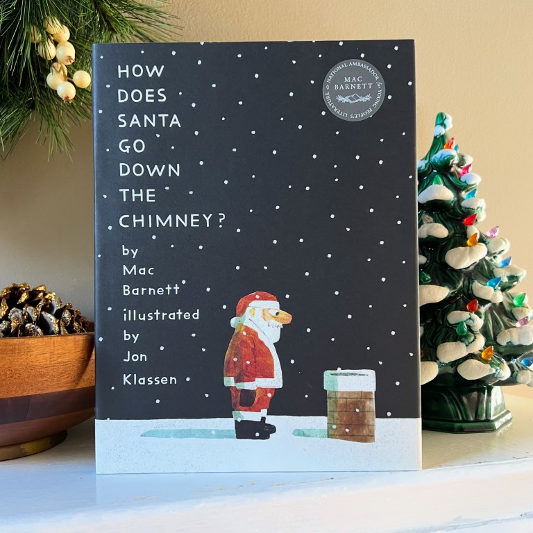Holiday Book Countdown, Day 21: HOW DOES SANTA GO DOWN THE CHIMNEY ...
