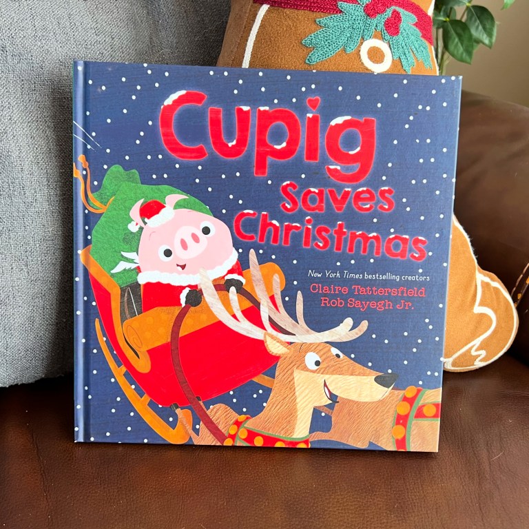 Holiday Book Countdown, Day 20: CUPIG SAVES CHRISTMAS (Claire ...