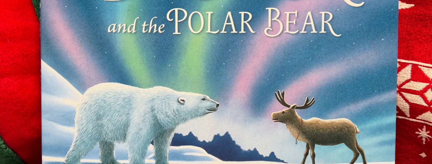 Holiday Book Countdown, Day 24: DASHER AND THE POLAR BEAR (Matt Tavares ...