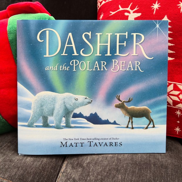 Holiday Book Countdown, Day 24: DASHER AND THE POLAR BEAR (Matt Tavares ...